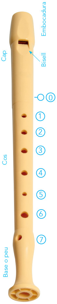 Blink Activity | BlinkLearning