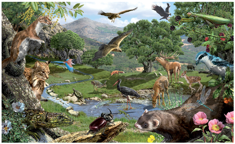 Blink Activity | BlinkLearning