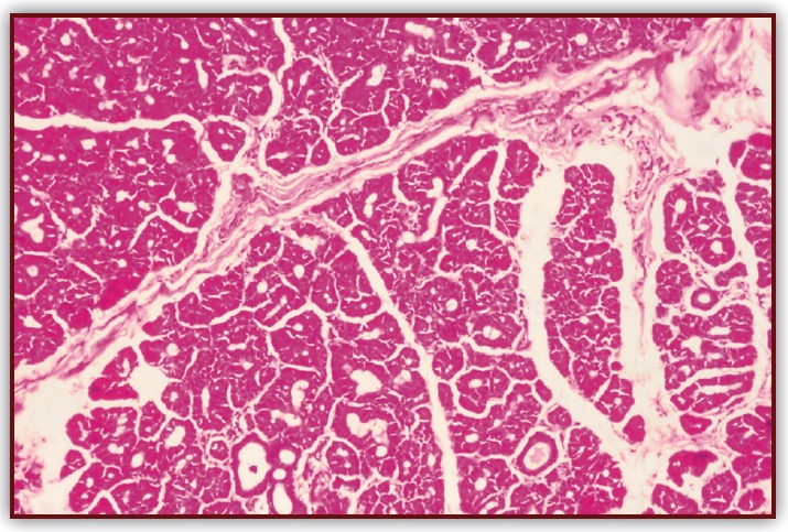 Blink Activity | BlinkLearning