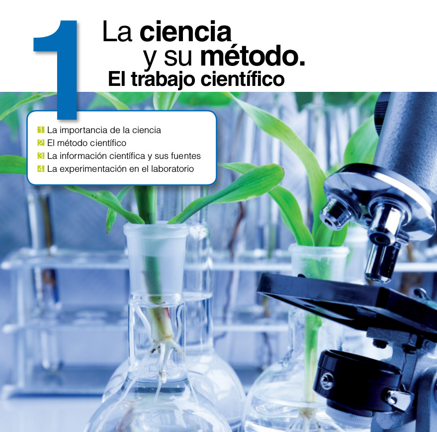 Blink Activity | BlinkLearning