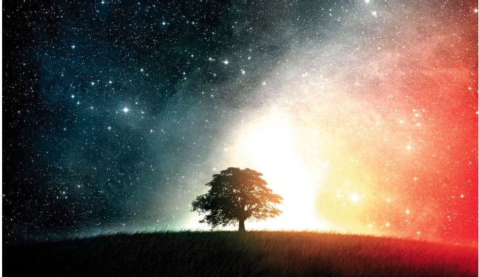 Blink Activity | BlinkLearning