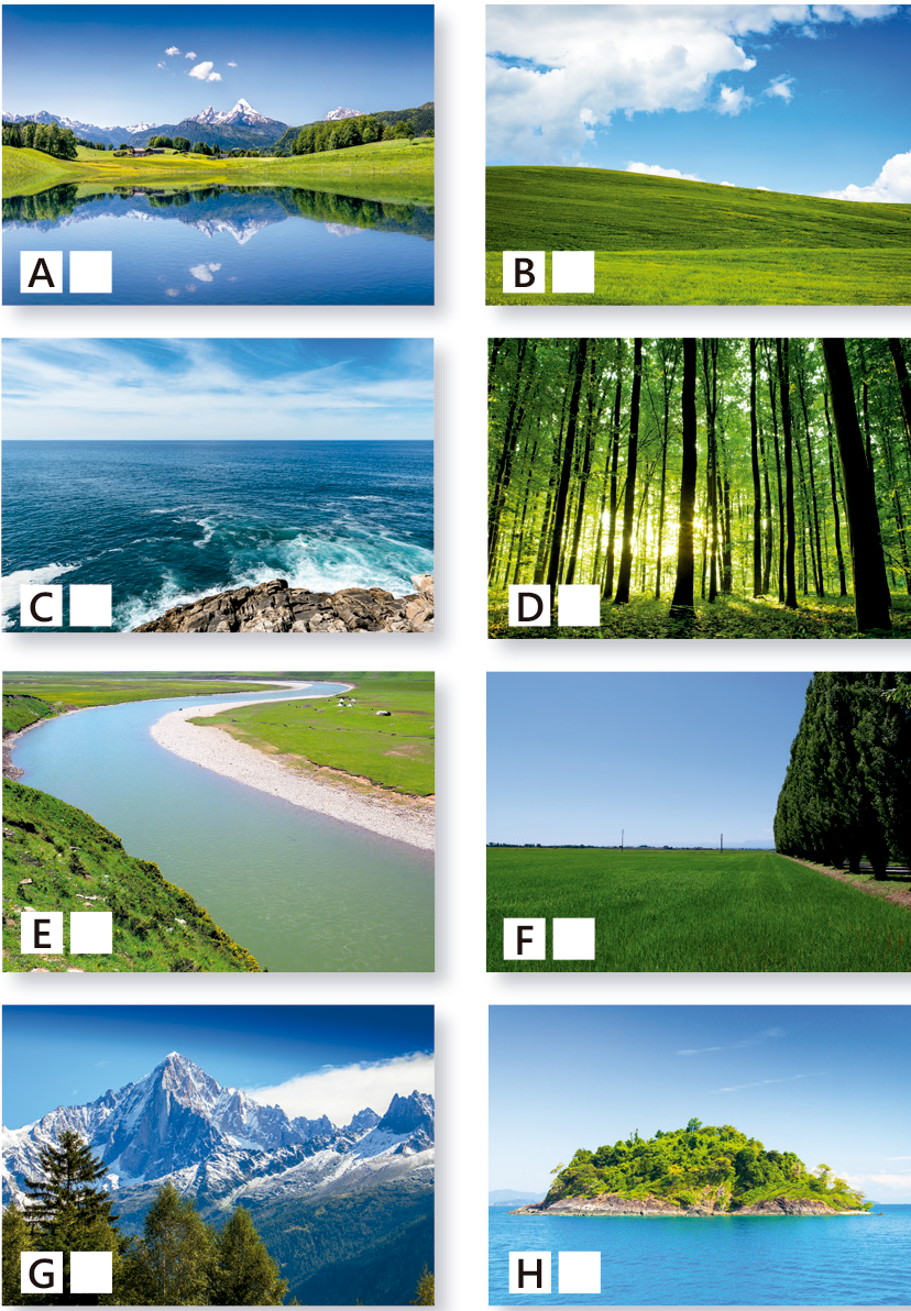 Blink Activity | BlinkLearning