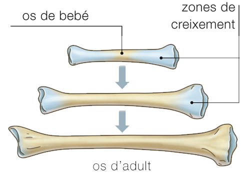 Blink Activity | BlinkLearning