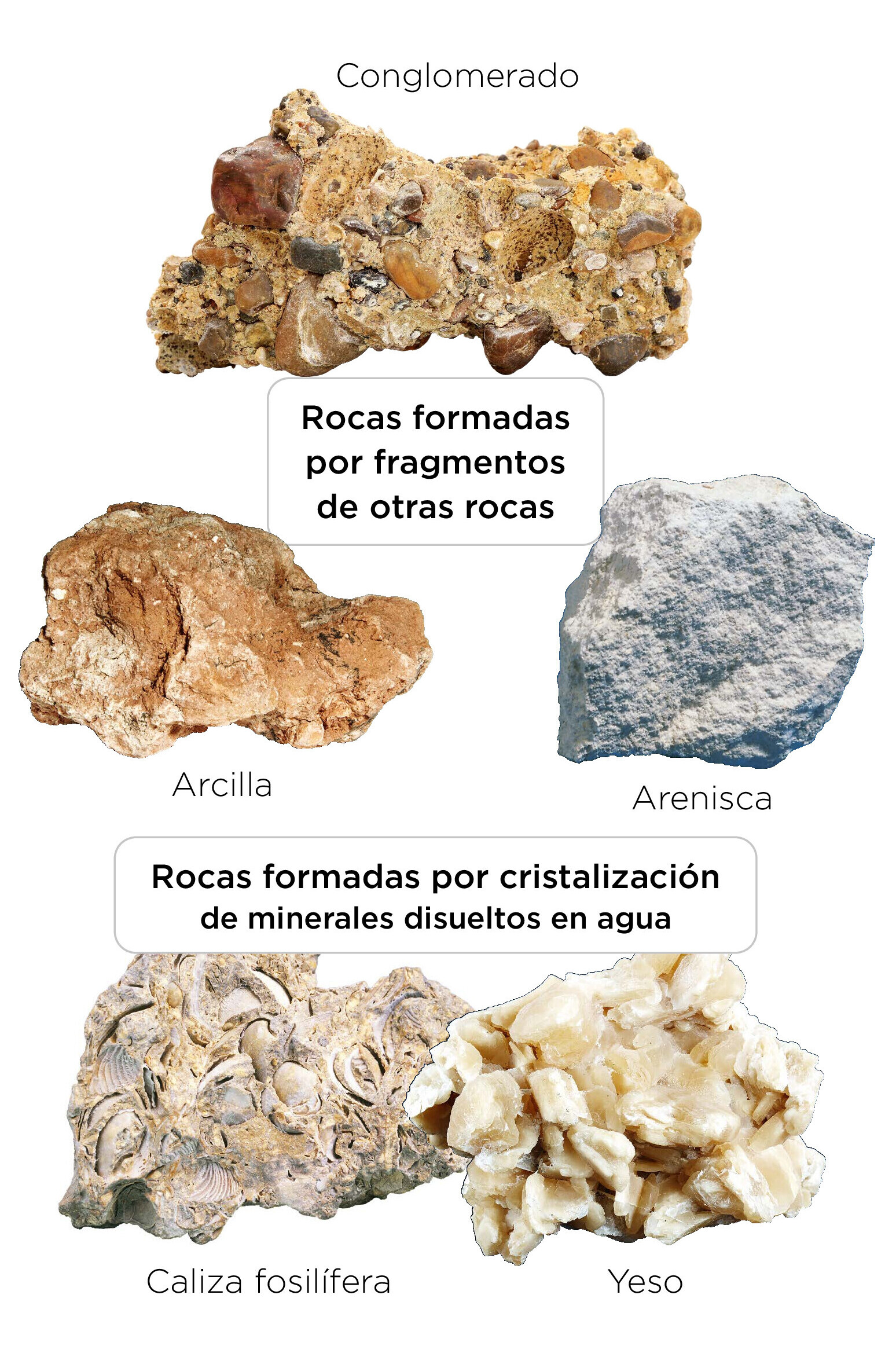 Blink Activity | BlinkLearning