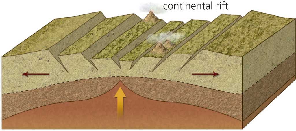 Blink Activity | BlinkLearning