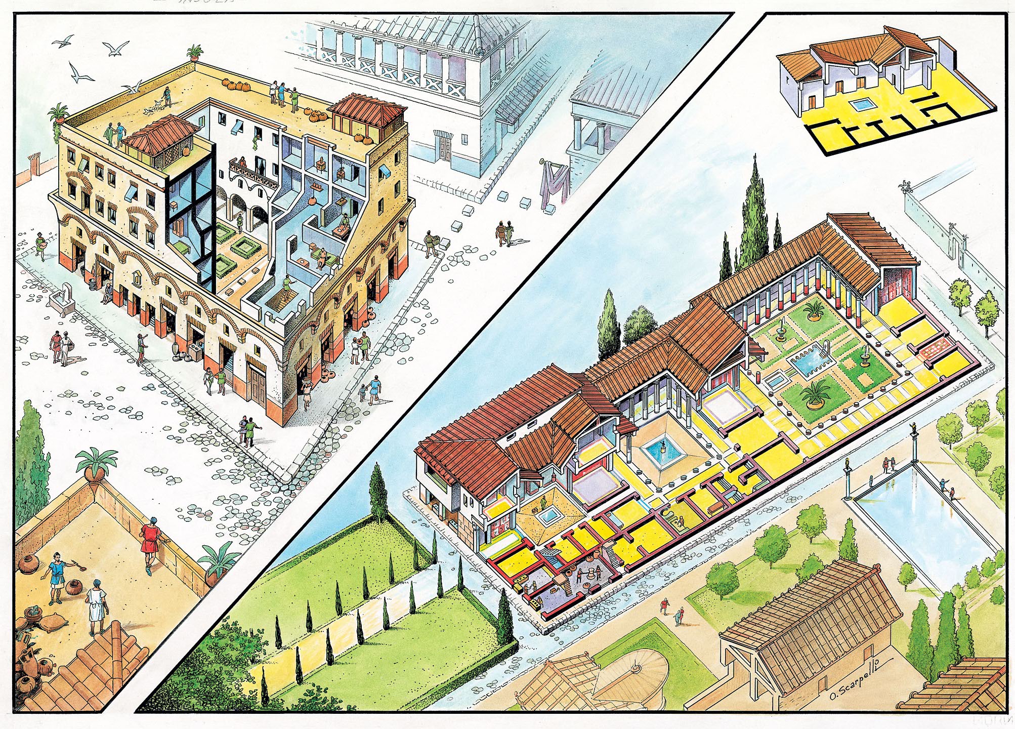 Blink Activity | BlinkLearning