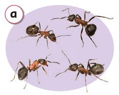 Blink Activity | BlinkLearning