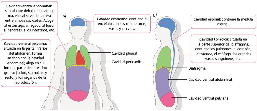 Blink Activity | BlinkLearning