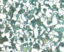 Blink Activity | BlinkLearning