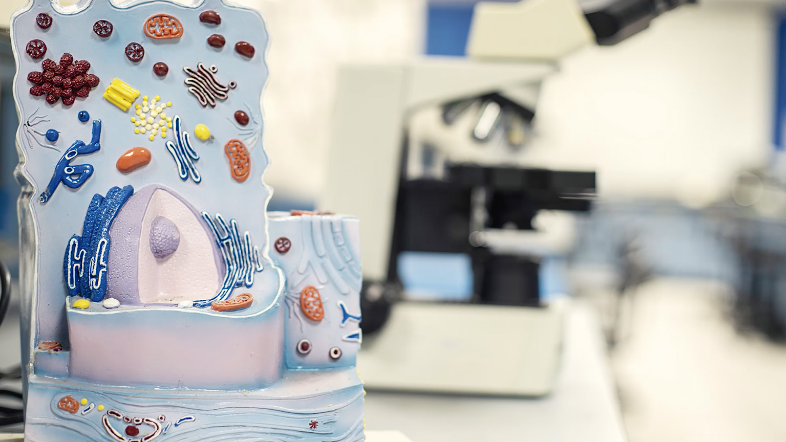 Blink Activity | BlinkLearning