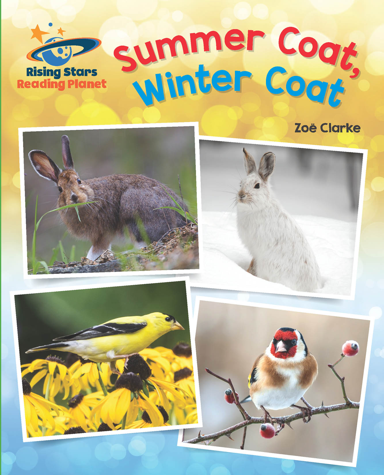 Summer coat, winter coat | Digital book | BlinkLearning