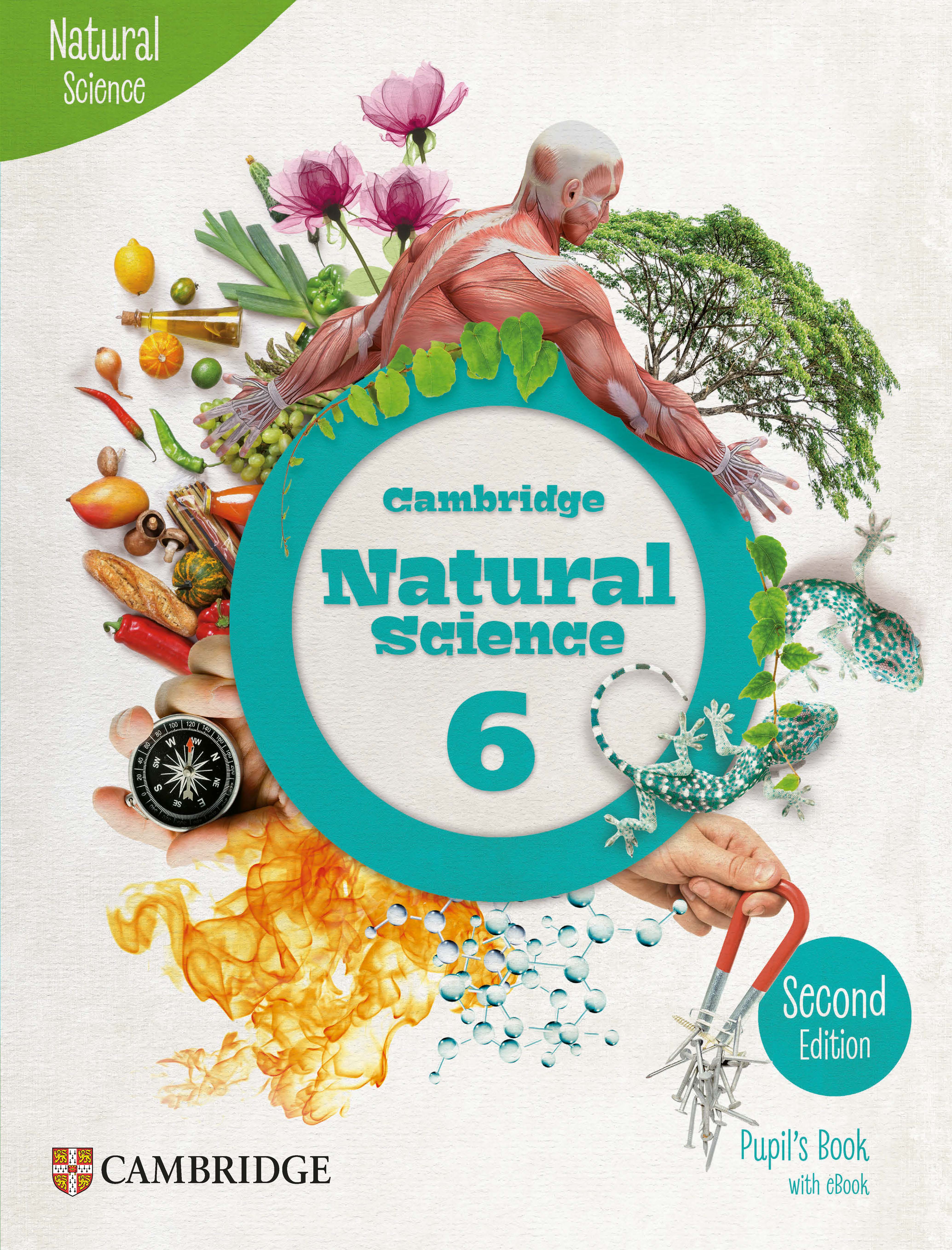 Natural Science 2nd L6 Pupil's Book | Digital book | BlinkLearning