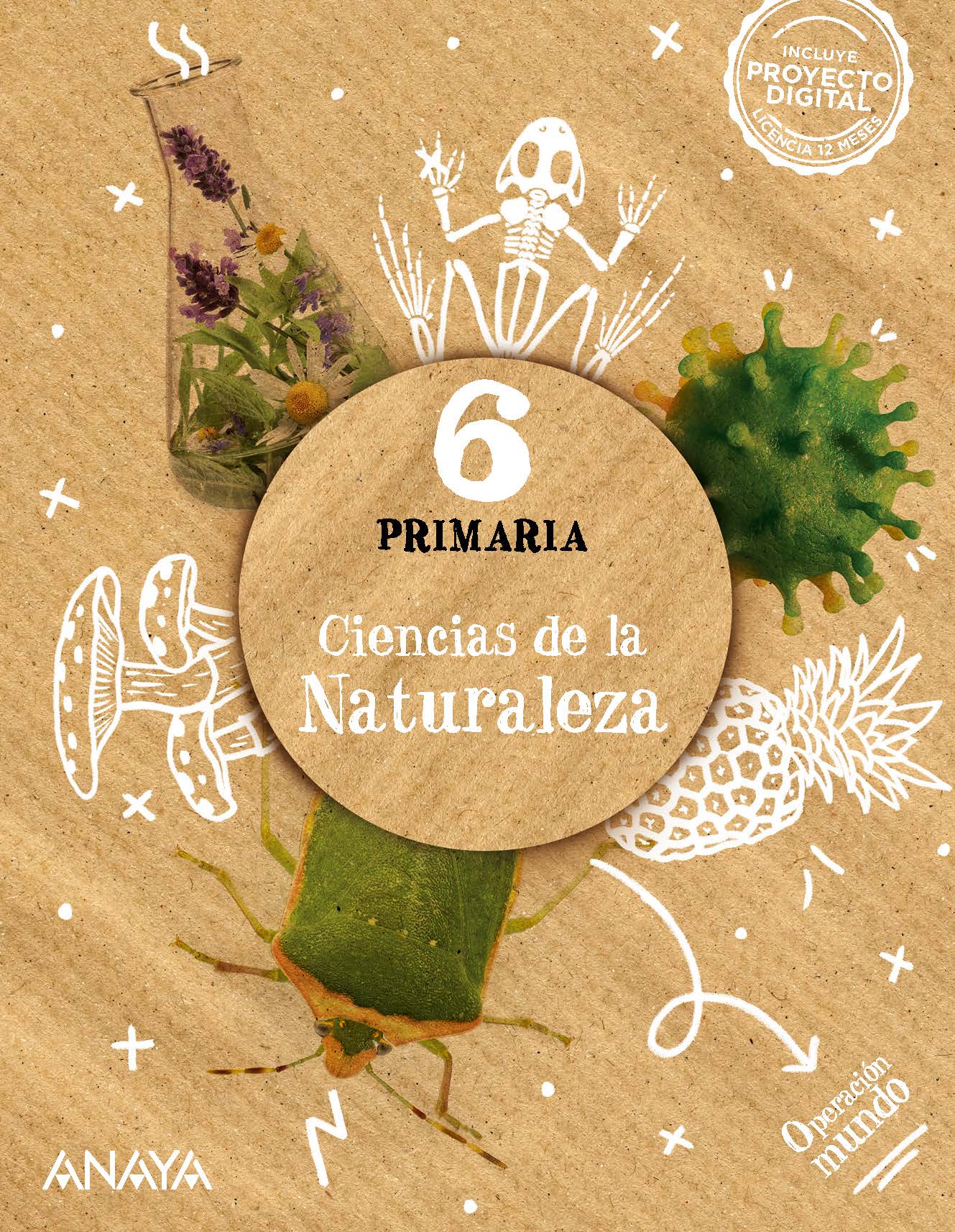 Ciencias de la Naturaleza 6. Primaria | Digital book | BlinkLearning